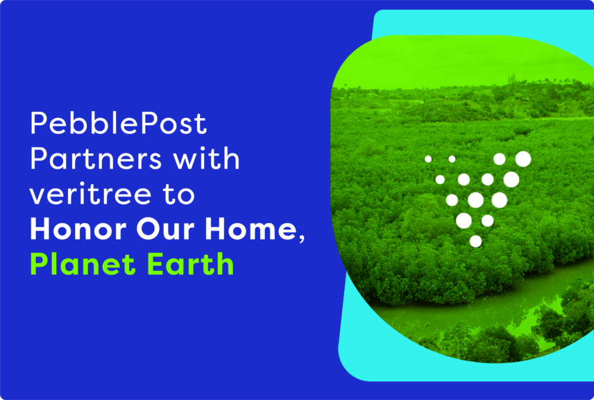 Everything the Modern Marketer Needs to Know about Programmatic Direct Mail - PebblePost