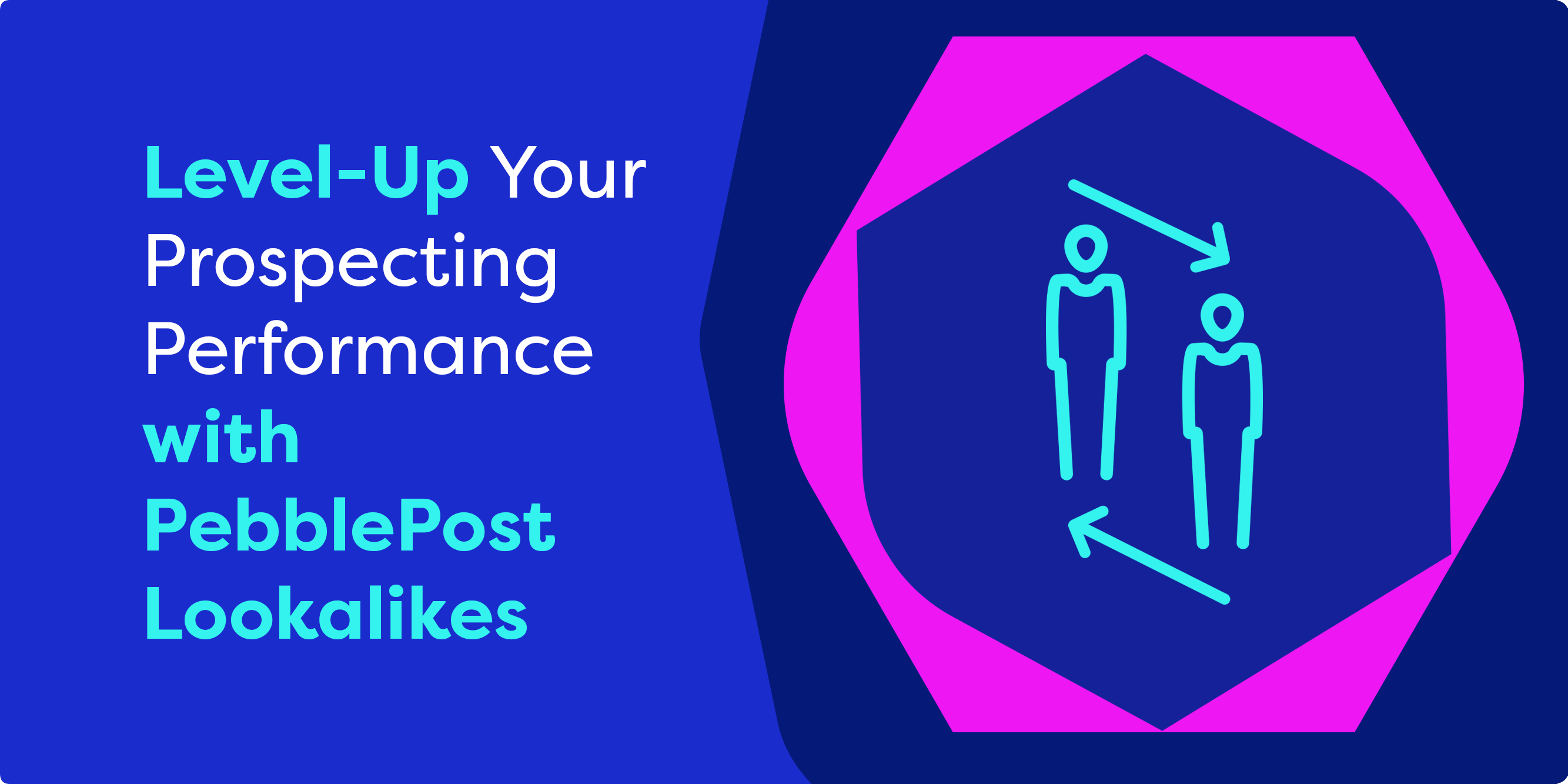 PebblePost Lookalikes